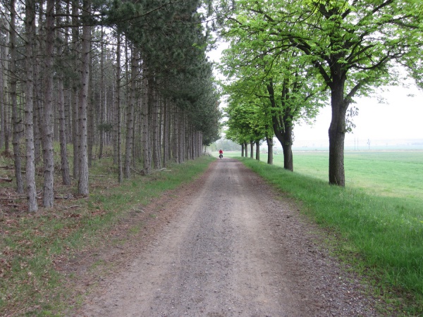 Europa-Radweg R1 – Radreise-Wiki